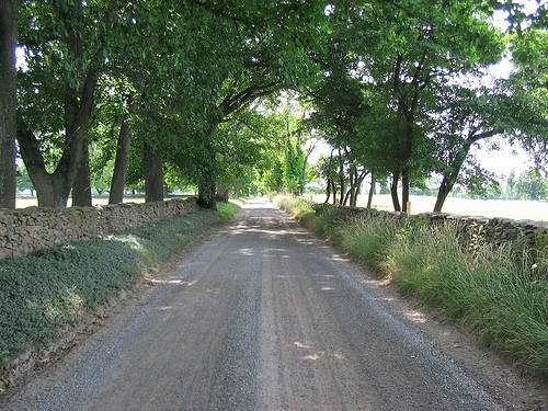 Battle of Upperville - Clio