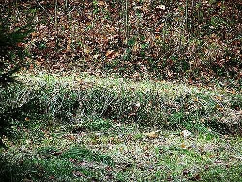 Stringtown's Summerfield Cemetery - Clio