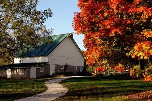 Meadowbrook Park - Clio