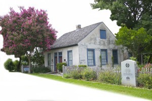 Lindheimer Tour - Clio