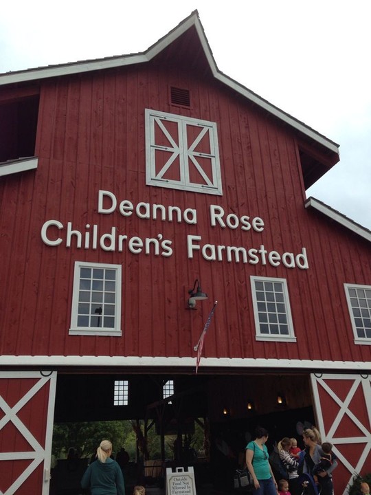Deanna Rose Children's Farmstead - Clio