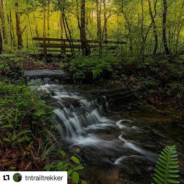 Fall Hollow Waterfall - Clio