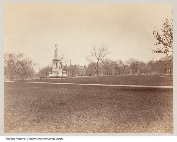 Cambridge Common - Clio