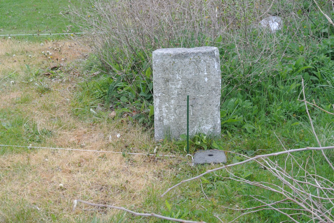 Southold Town Milestone #18 - Clio