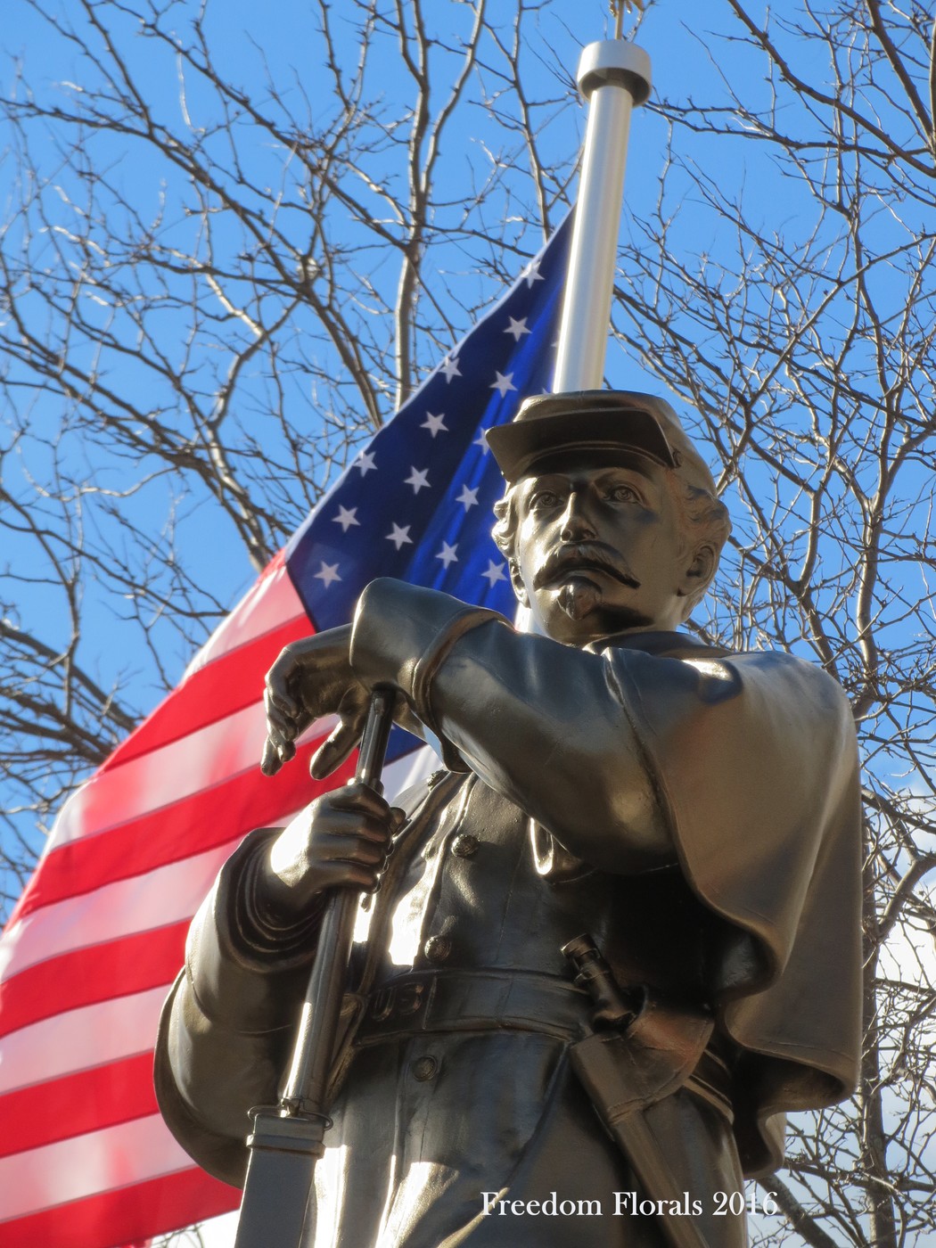 Monuments and Memorials Tour, Rockford's Main Street District - Clio