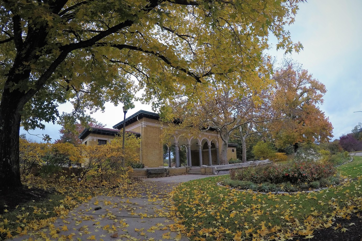 Mt. Echo Park - Clio