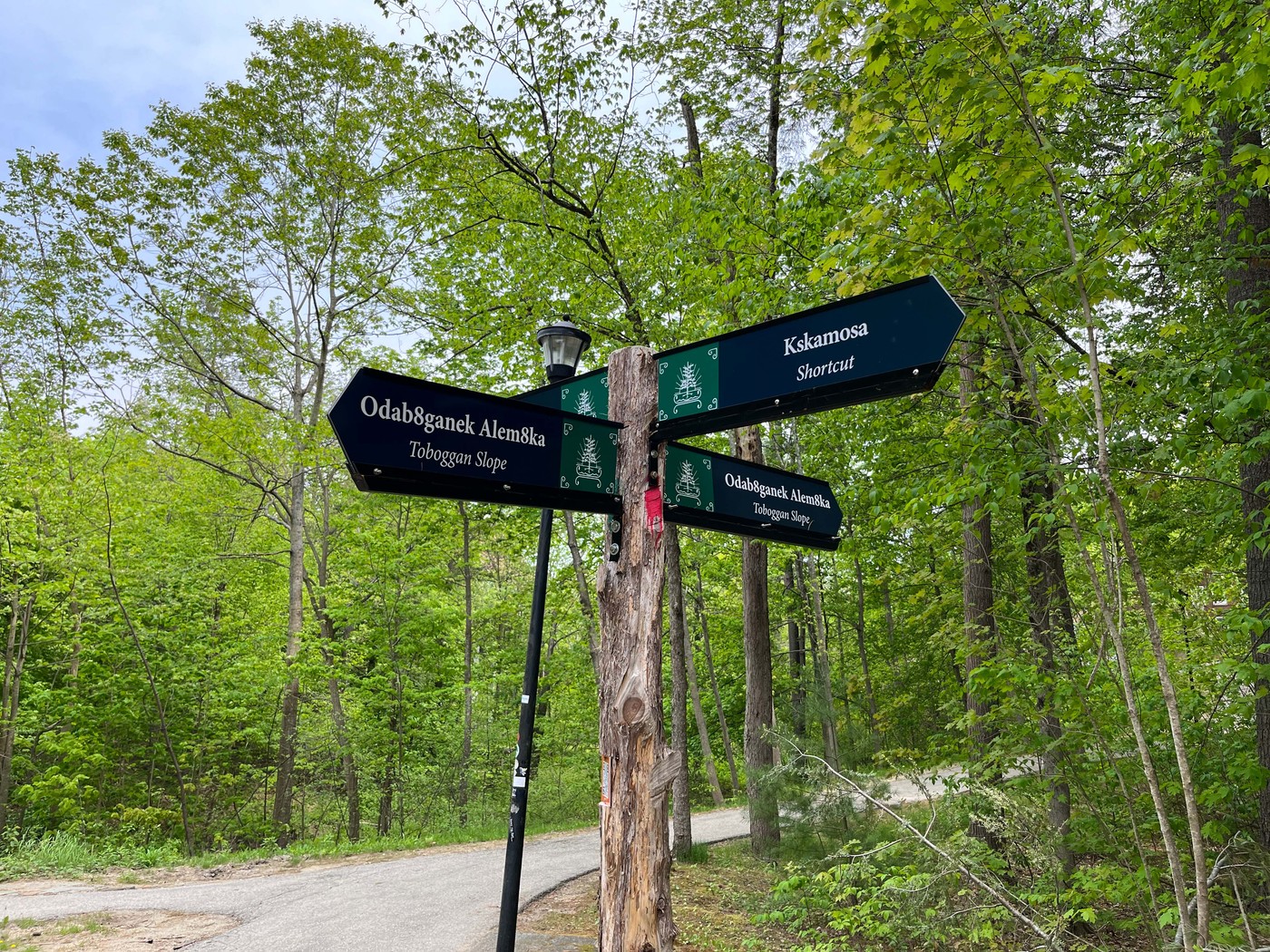 Abenaki Trail Signs at UNH - Clio