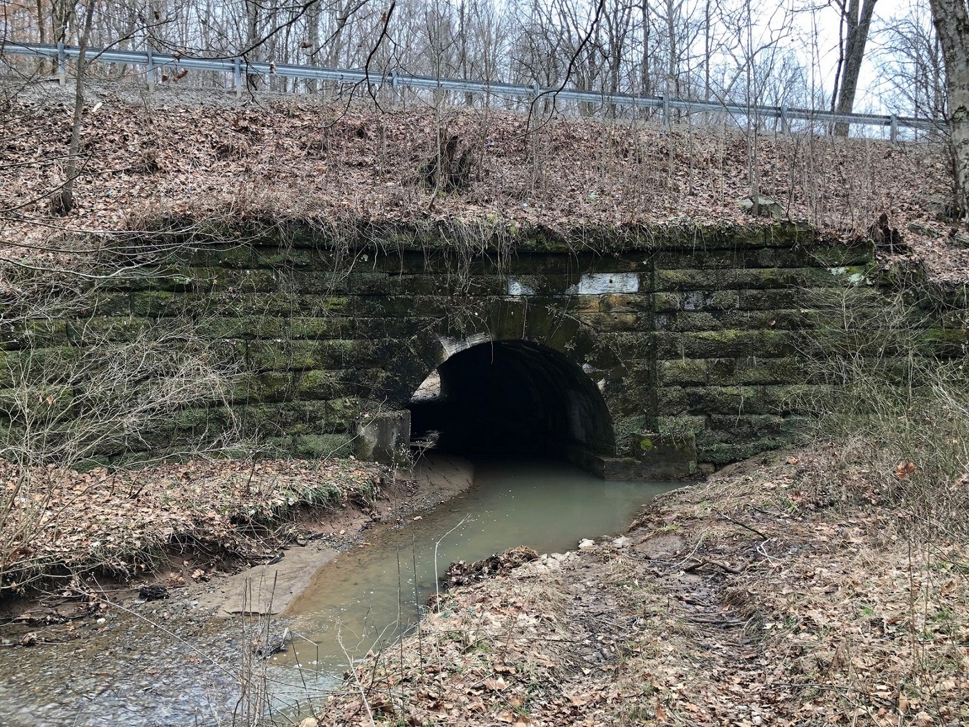 Marietta and Cincinnati Railroad Culvert near Cutler - Clio