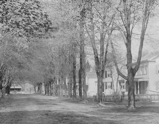 Bedford Road Historic District - Clio