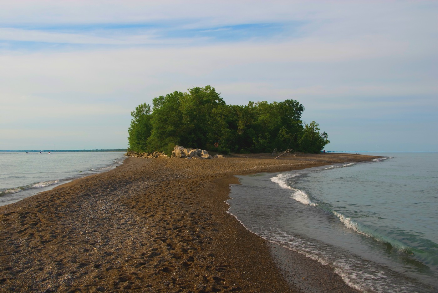 Point Pelee National Park - Clio