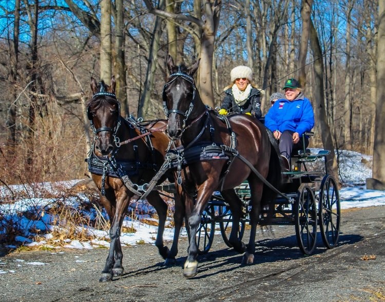 Carriage Road Network and Landscape (Rockefeller Pocantico Hills Estate ...