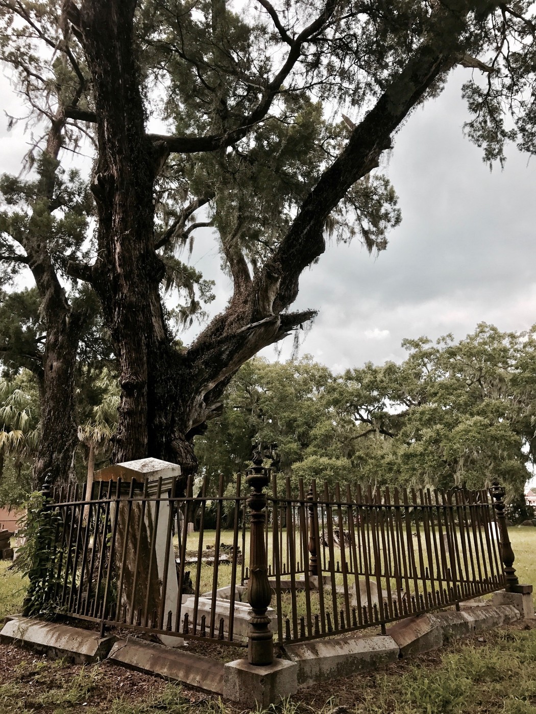 Permelia Griffin's Grave - Clio