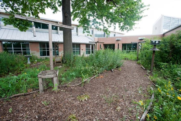 Anita B. Gorman Conservation Discovery Center - Clio