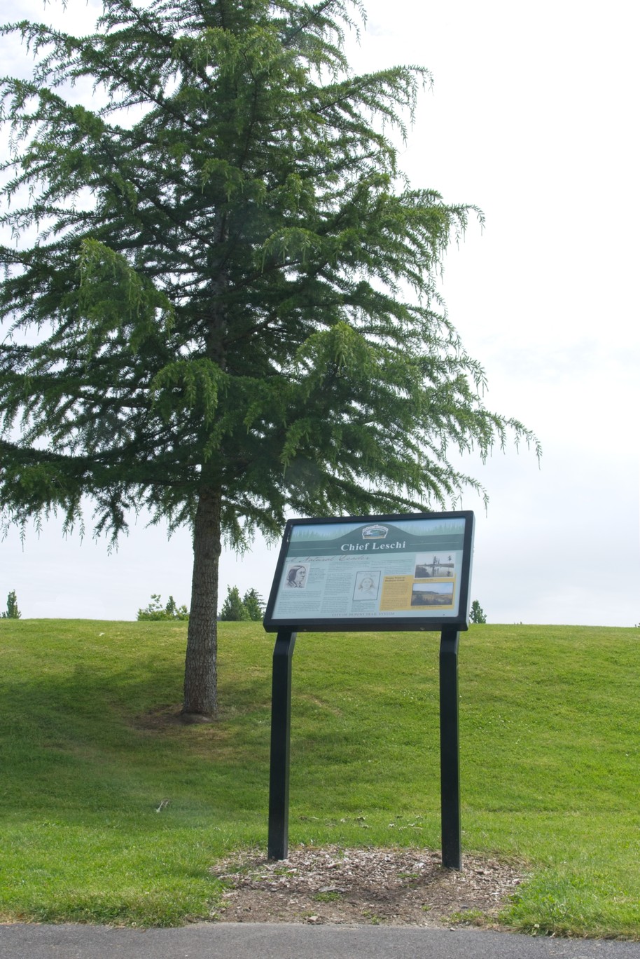 Chief Leschi Park - Clio