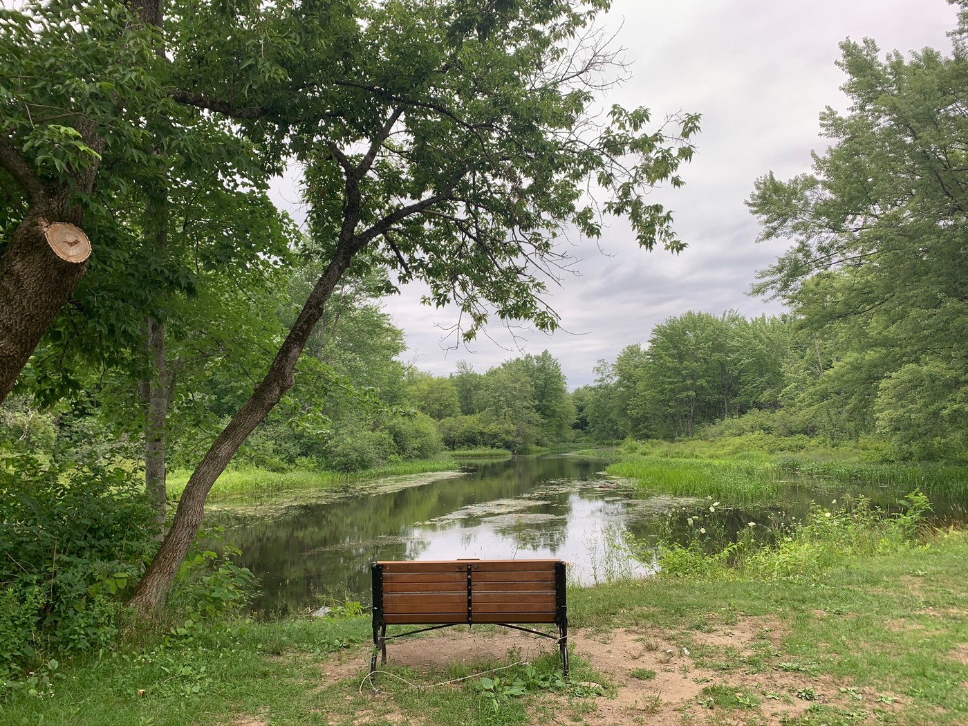 Jonathan Daniels Trail - Clio