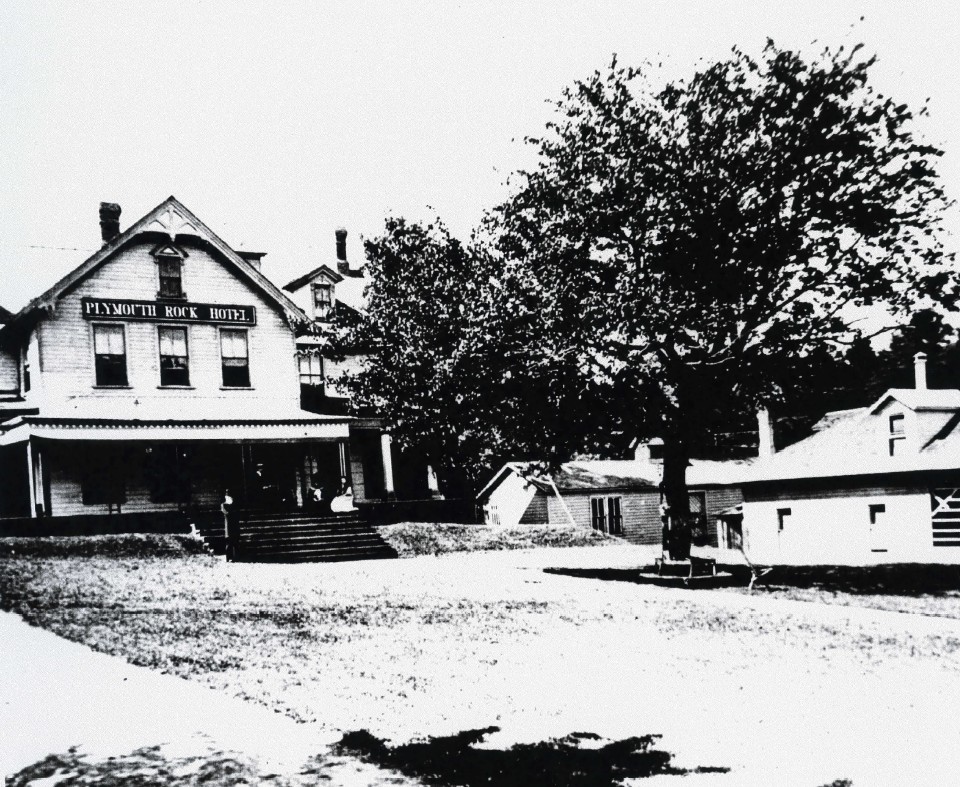 Plymouth Rock / Bandusia Spring - Clio