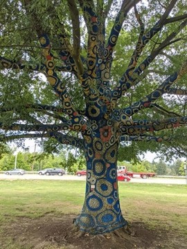 The Morgantown Tree - Clio