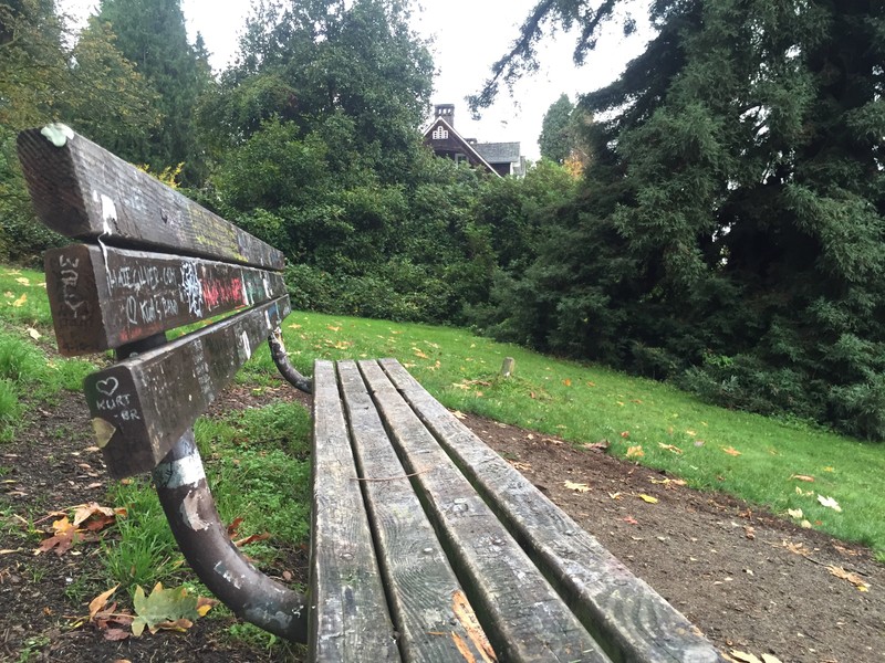 Kurt Cobain Memorial Bench - Clio