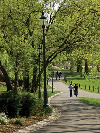 Branch Brook Park - Clio