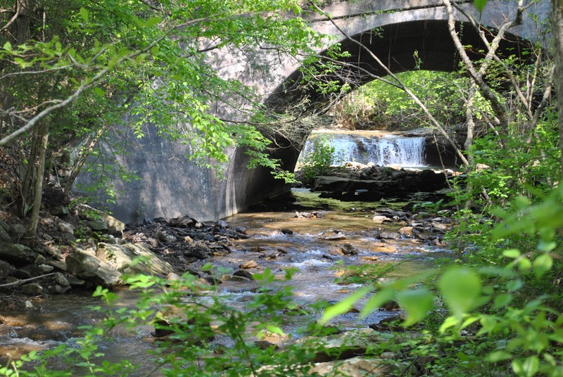 Drawdy Falls Roadside Park - Clio