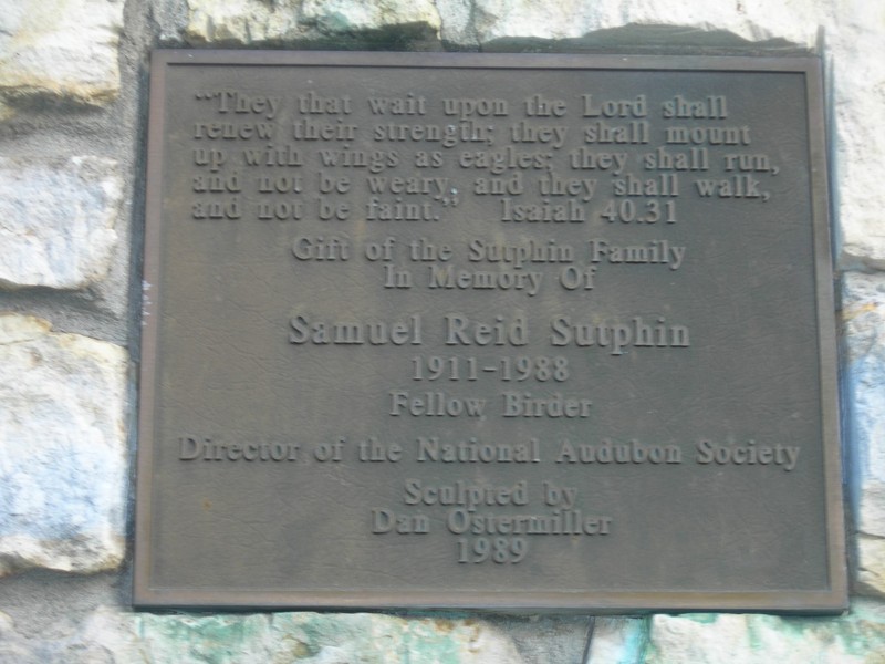 Golden Eagle Sculpture - Clio