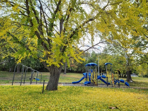 Maple Leaf Park - Clio