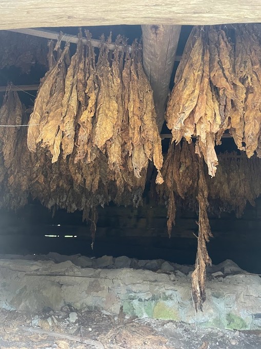 Duke Homestead - Clio