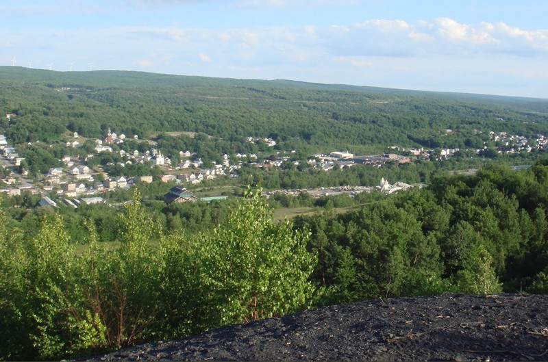 Simpson European Immigration - Clio