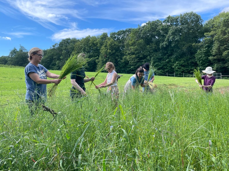 THE FLAX PROJECT: Growing Flax, Processing Linen and Making Clothes ...