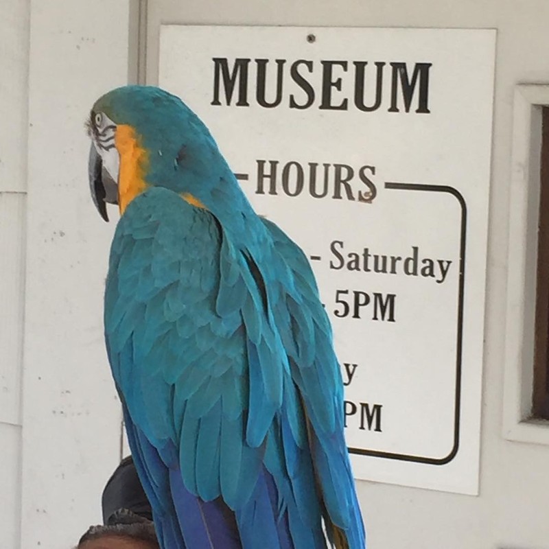 Spring Historical Museum and Old Town Spring - Clio