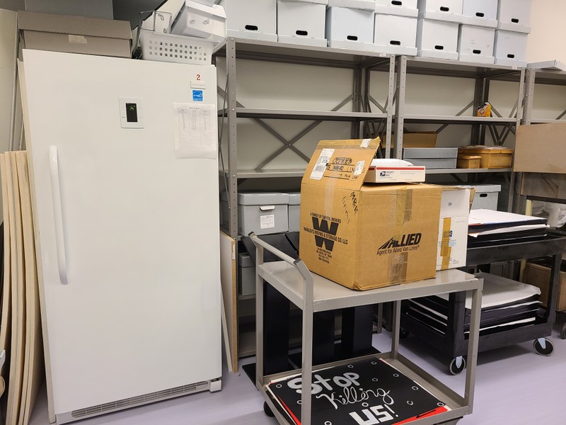 Quarantine Room - Clio