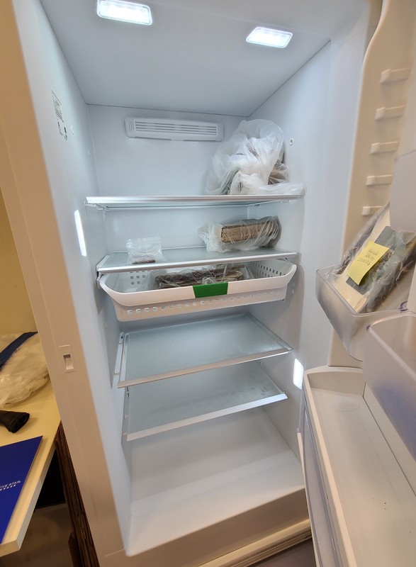 Quarantine Room - Clio