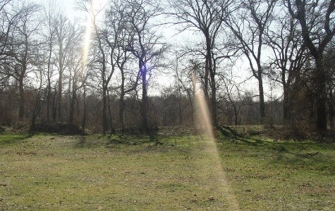 Fort McCulloch - Clio