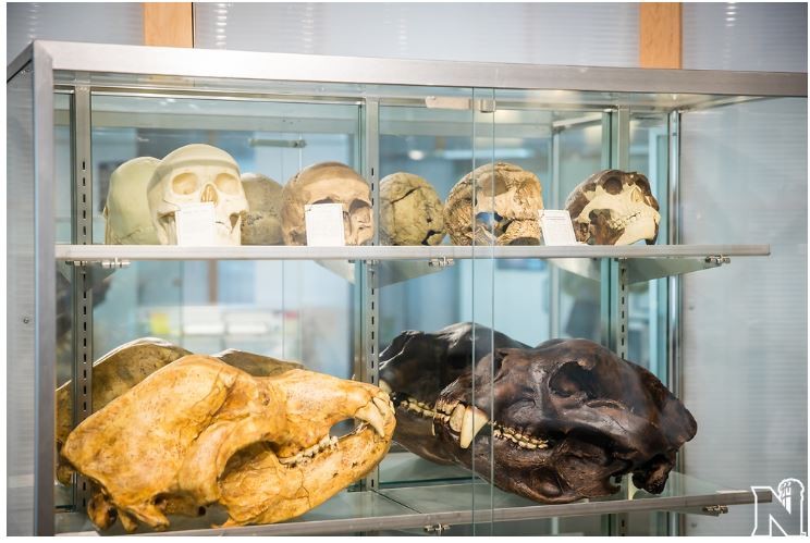 Warren S. and Rita Peck Shuck Museum of Life Sciences. - Clio