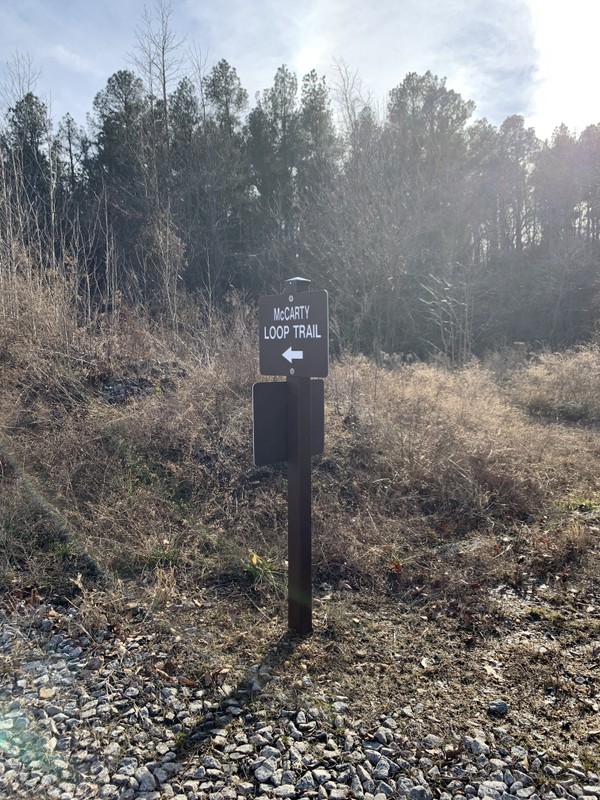 Captain Daniel McCarty - Clio