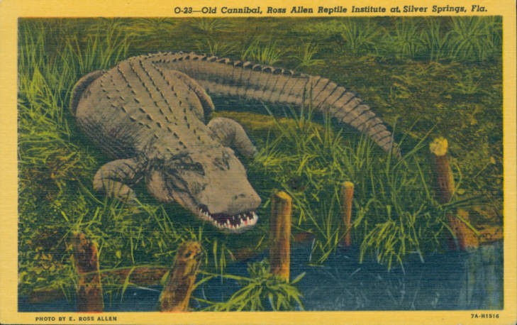 Ross Allen's Reptile Institute - Clio