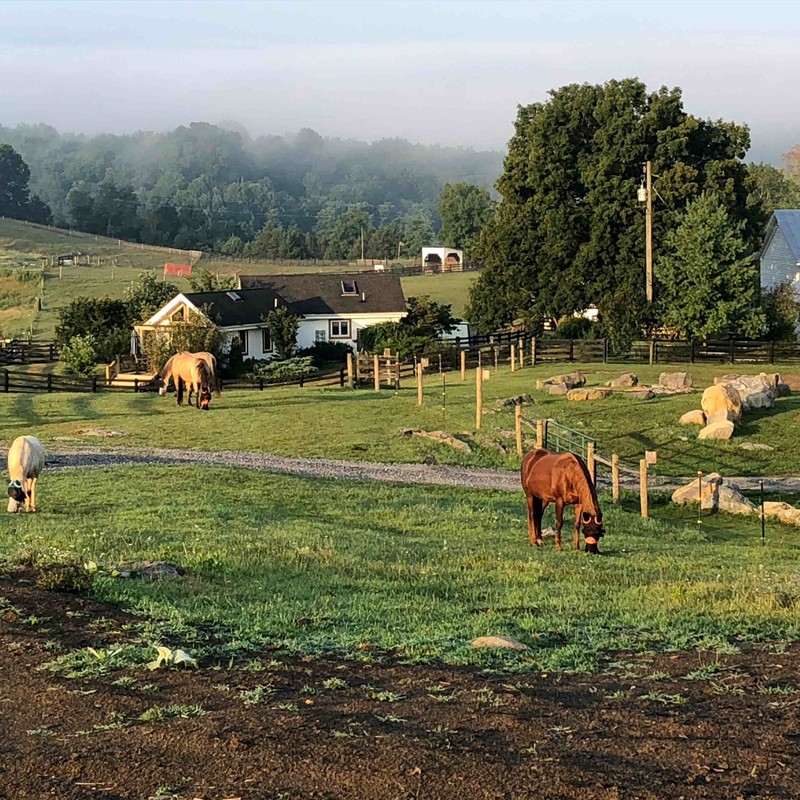 Turnrow Appalachian Farm Collective - Clio