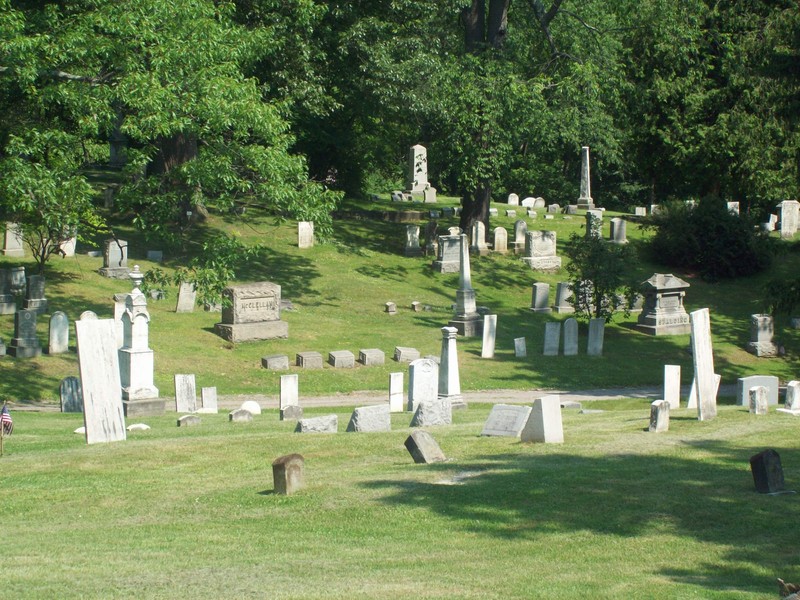 Cold Springs Cemetery - Clio