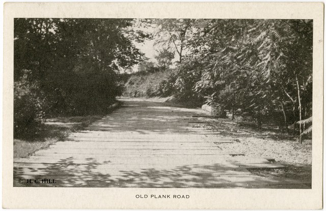 The Path to Pine Grove - Clio