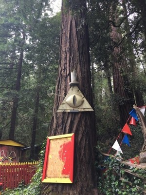 Confusion Hill - Clio