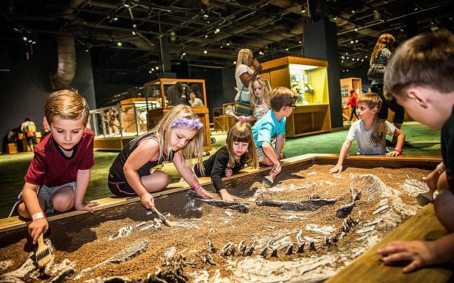 Orlando Science Center (OSC) - Clio