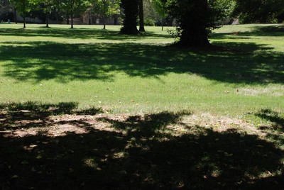 The Santa Fe Trail in Missouri and Kansas City - Clio