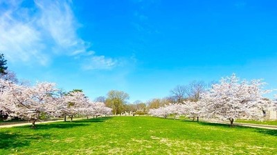 Loose Park Walking Tour - Clio