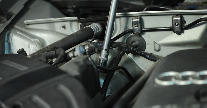 How to change front coil springs on Audi A4 B6 – replacement guide A4 ...