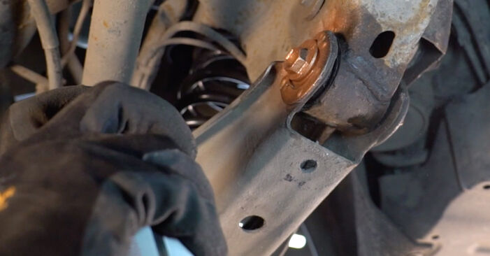 How to change rear coil springs on BMW 1 Hatchback (E87) – replacement ...