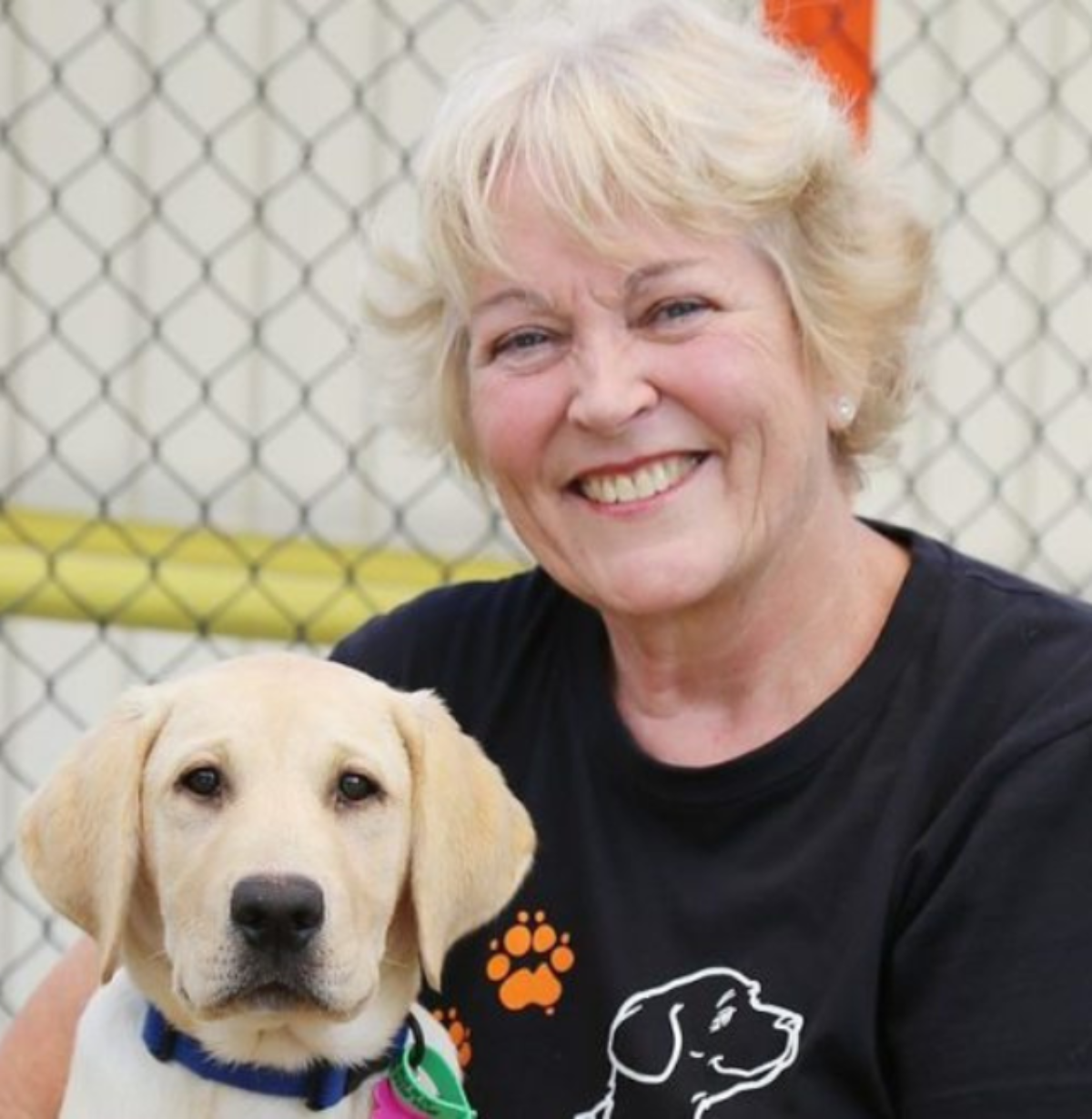 Guide Dogs QLD | Your Australian or NZ Will online | Safewill