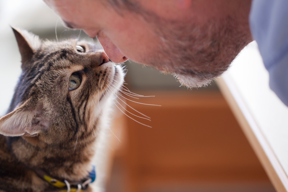 RSPCA | Your Australian or NZ Will online | Safewill