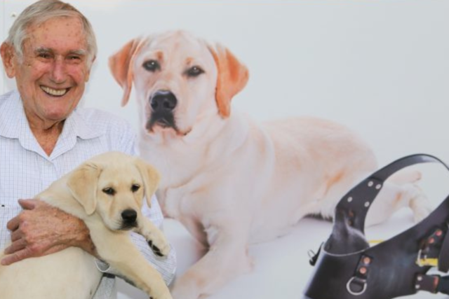 Guide Dogs QLD | Your Australian or NZ Will online | Safewill