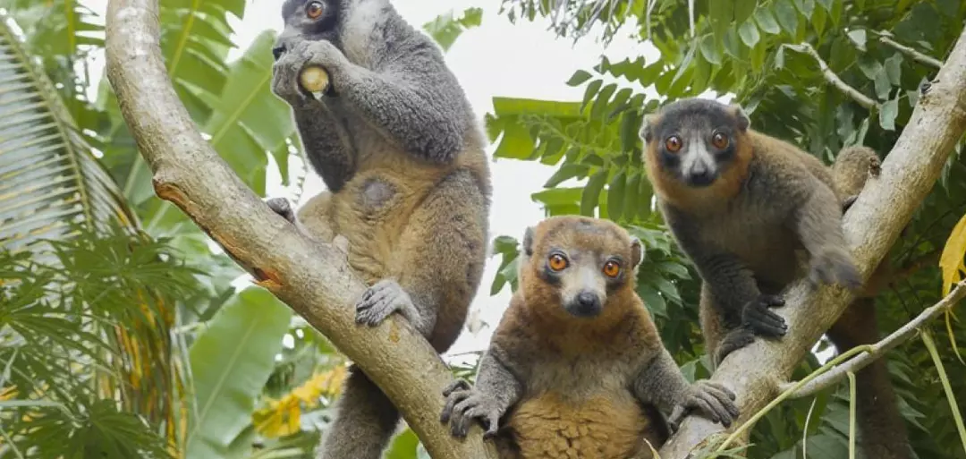 Samsung Global Goals charity app