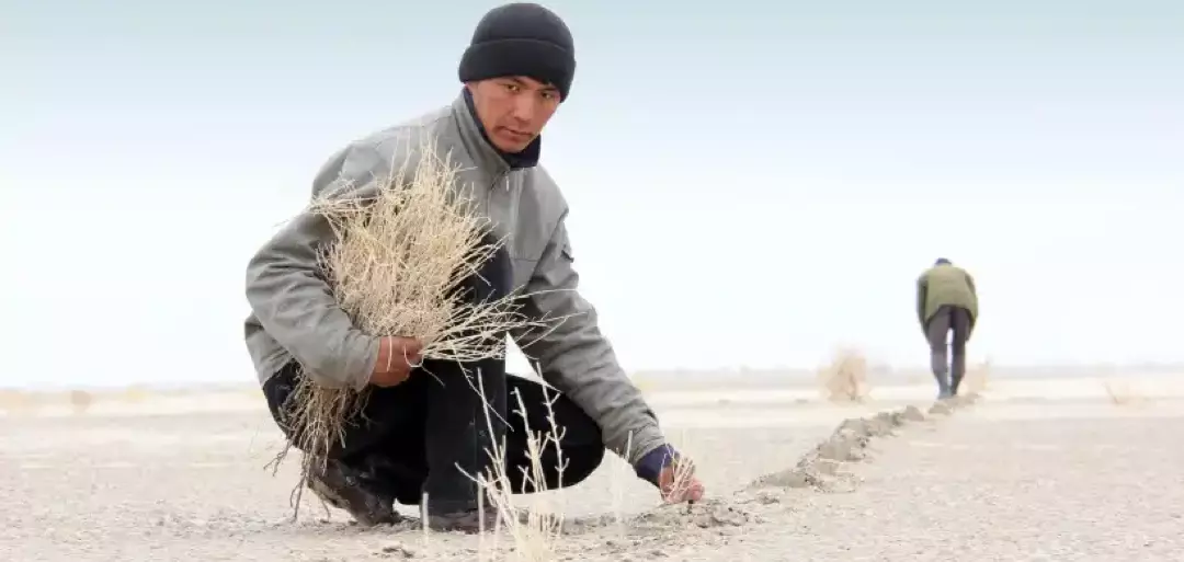 Samsung Global Goals charity app